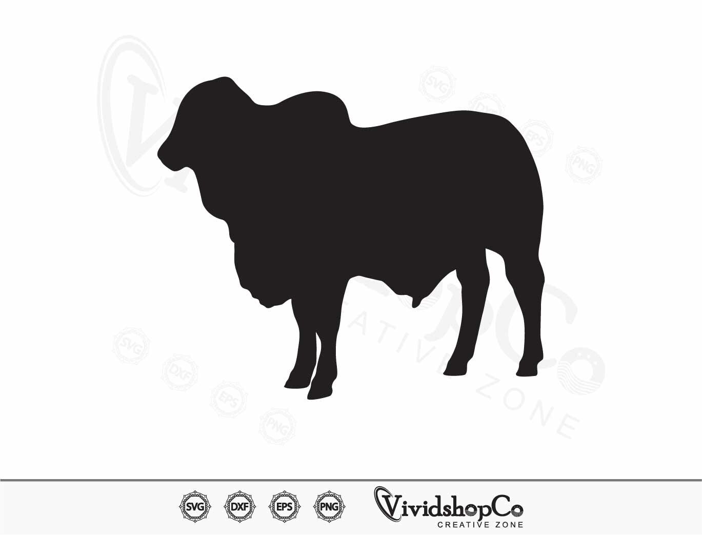 Brahman Bull SVG, Livestock Svg, Ranching Svg, Vector, Silhouette ...