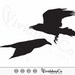 Corbeau SVG, svg Corbeau, des cliparts, des fichiers coupés pour la ...
