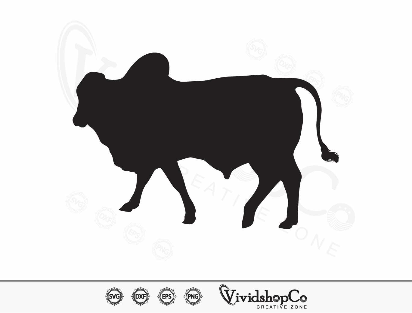 Brahman Bull SVG, Livestock Svg, Ranching Svg, Vector, Silhouette ...