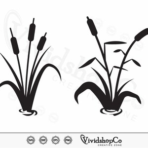 Cattail SVG, Grass Svg, Bulrush Plant Svg, Cattail Flower Svg, Clipart ...