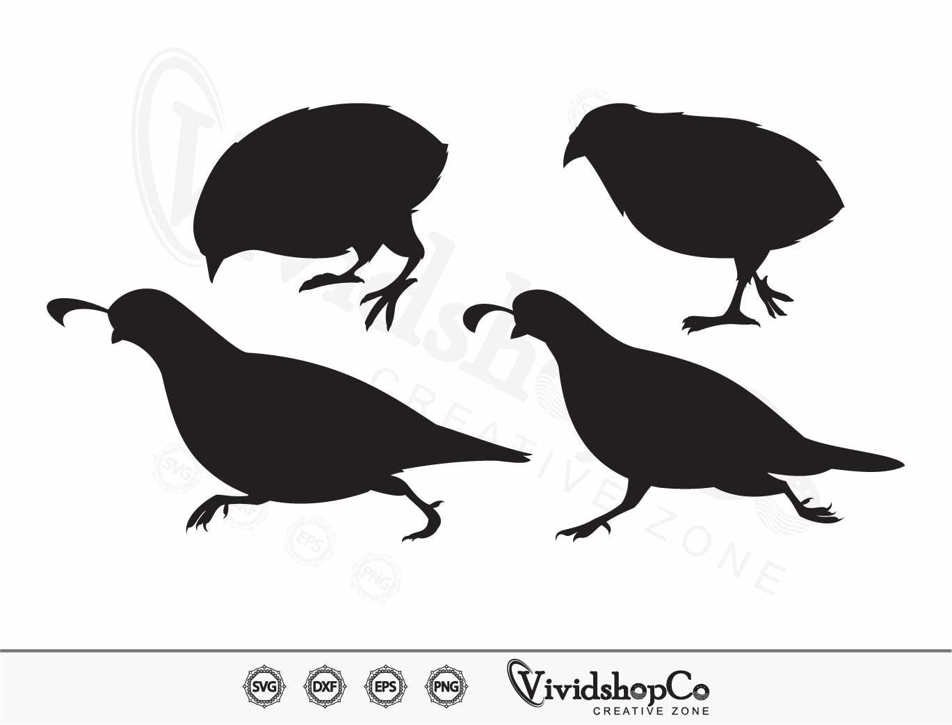 Quail SVG, Quail Bird Svg, Clipart, Cut Files for Silhouette, Files for ...