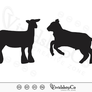 Show Lamb SVG, Market Lamb Svg, Sheep Svg, Show Sheep Svg, Clipart, Cut ...