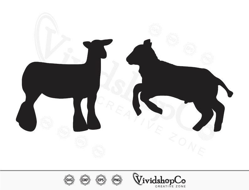 Show Lamb SVG, Market Lamb Svg, Sheep Svg, Show Sheep Svg, Clipart, Cut ...
