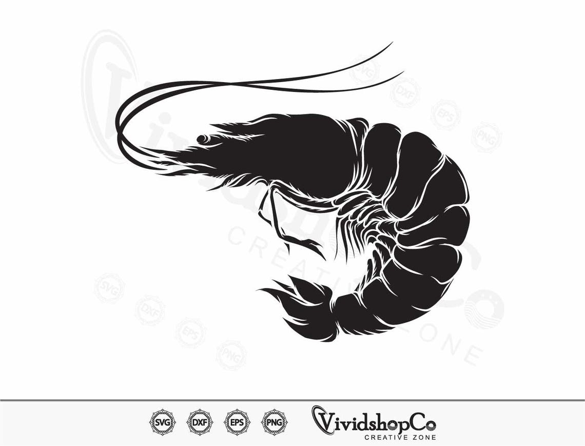 Shrimp SVG, Boiled Shrimp Svg, Prawn Svg, Seafood Svg, Clipart, Cut ...