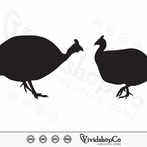 Guinea Fowl SVG, Guinea Svg, Fowl Svg, Bird Svg, Clipart, Cut Files for ...
