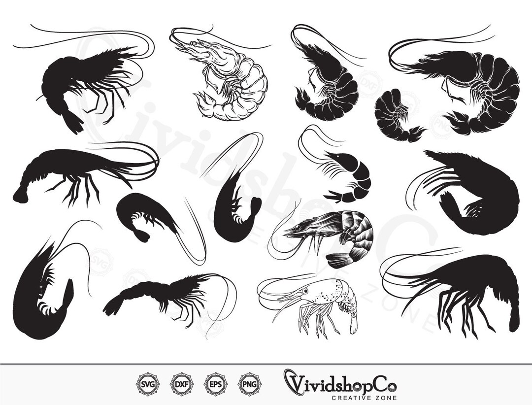 Shrimp SVG, Boiled Shrimp Svg, Prawn Svg, Seafood Svg, Clipart, Cut ...