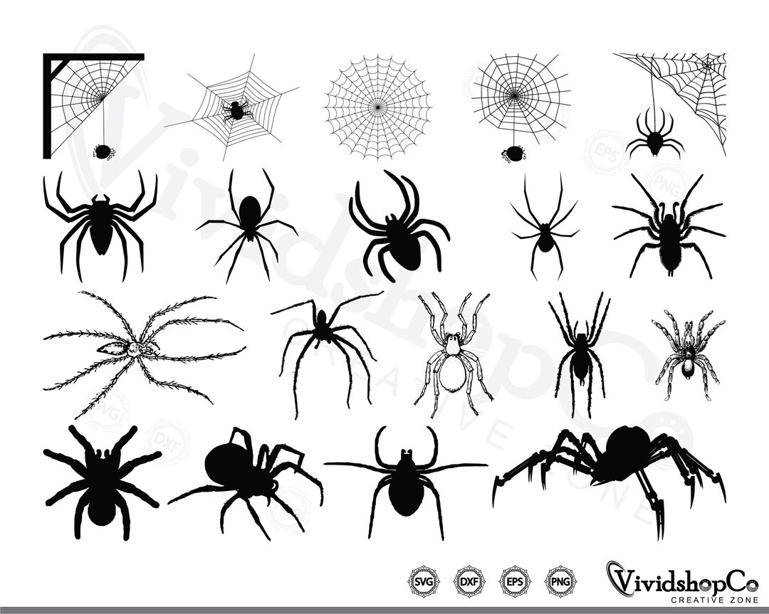 Spider Svg, Spider Clipart, Spider Cut Files for Silhouette, Files for ...
