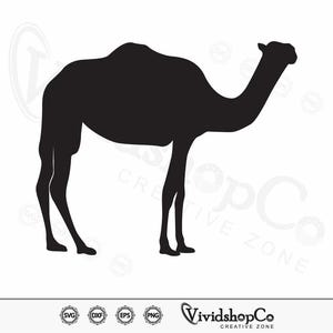 Camel SVG, Animal Svg, Clipart, Cut Files for Silhouette, Files for ...