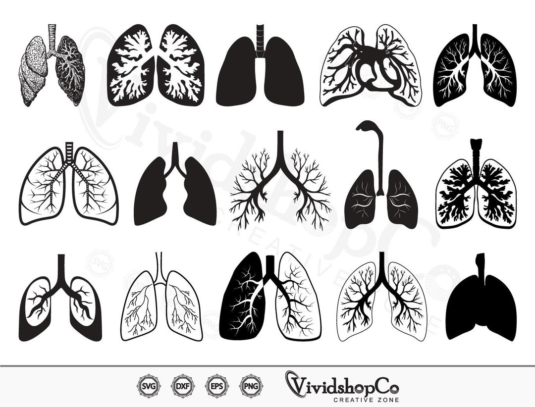 Lung SVG, Medical Image Svg, Human Lung Svg, Bronchial Svg, Clipart ...