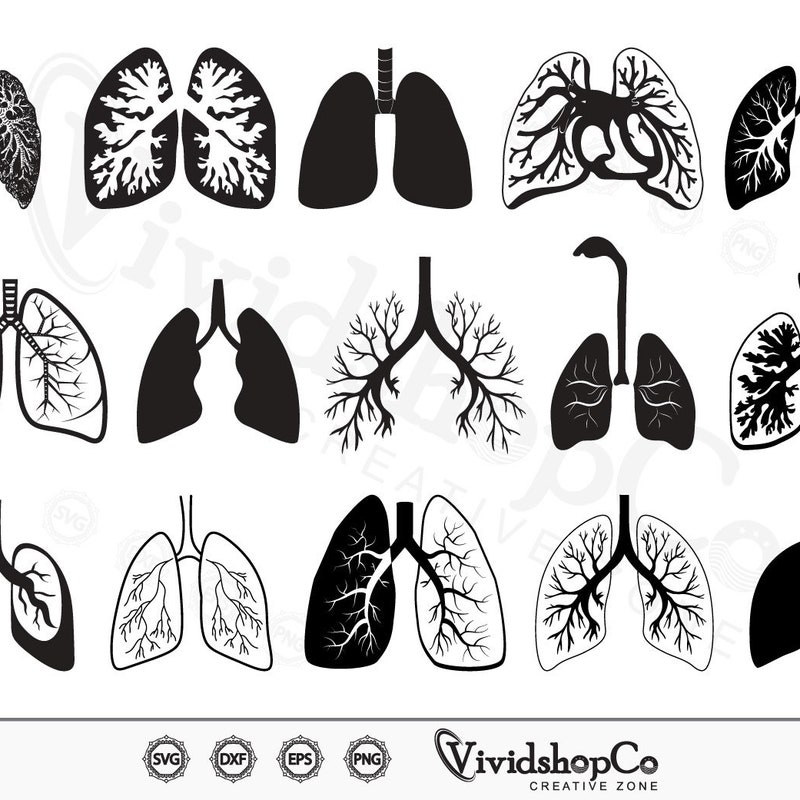 Lung Svg - Etsy
