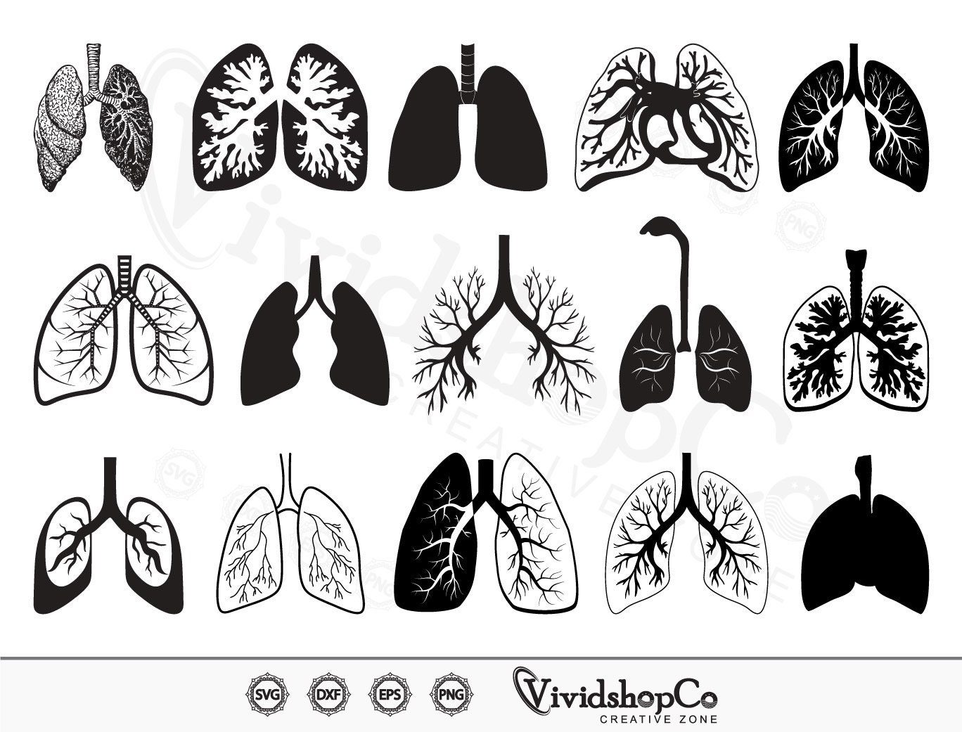 Lung SVG, Medical Image Svg, Human Lung Svg, Bronchial Svg, Clipart ...