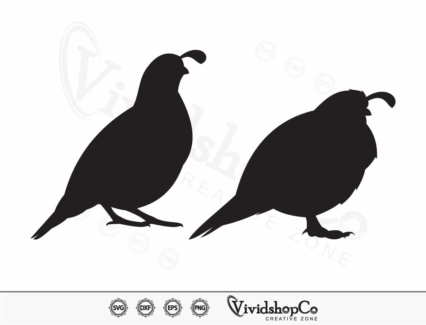 Quail SVG, Quail Bird Svg, Clipart, Cut Files for Silhouette, Files for ...