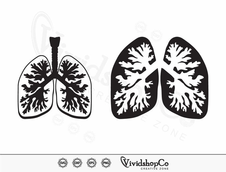 Lung SVG, Medical Image Svg, Human Lung Svg, Bronchial Svg, Clipart ...