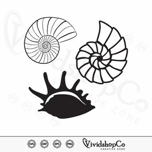 Seashell SVG, Sea Shells Svg, Clam Svg, Beach Svg, Ocean Svg, Shell Svg ...