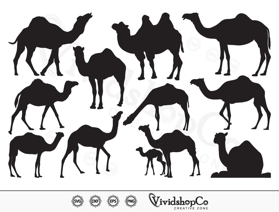 Camel SVG, Animal Svg, Clipart, Cut Files for Silhouette, Files for ...