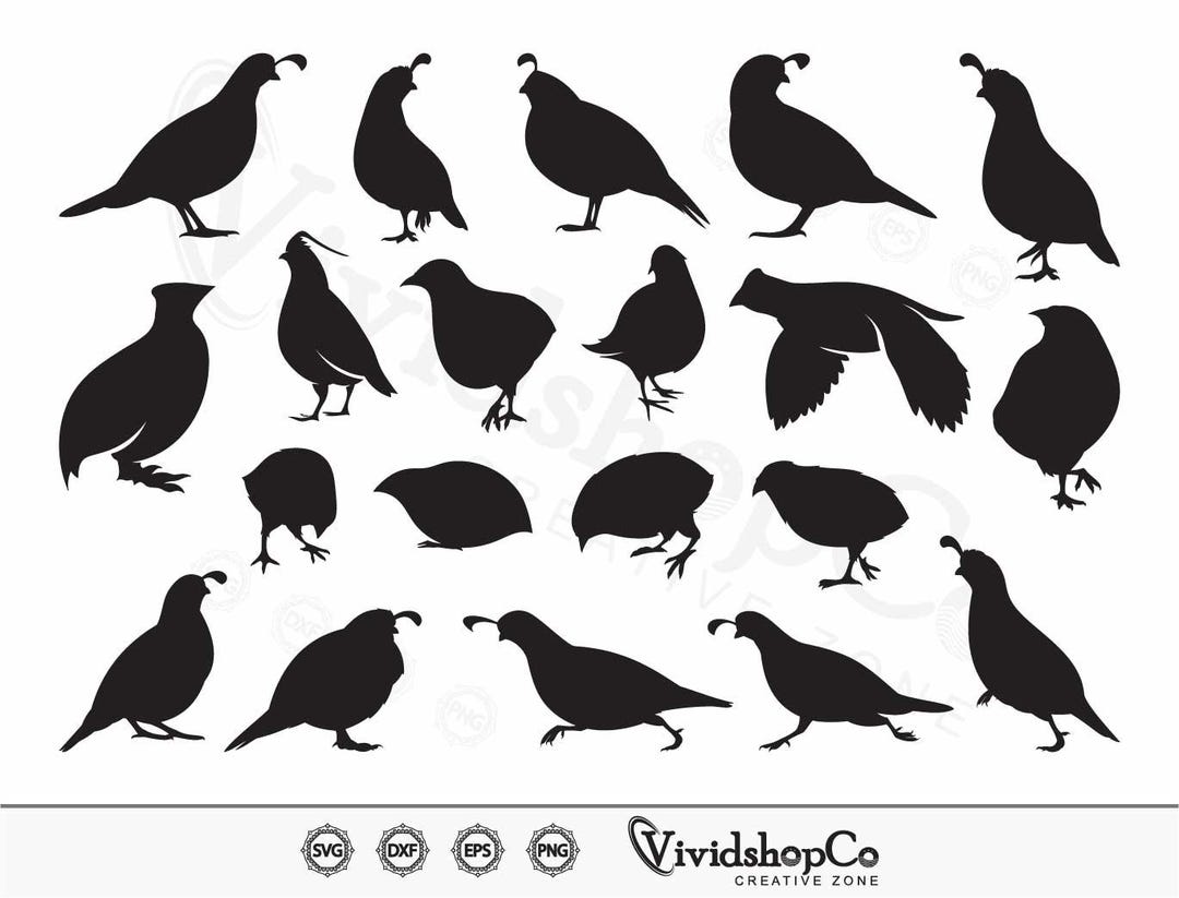 Quail SVG, Quail Bird Svg, Clipart, Cut Files for Silhouette, Files for ...