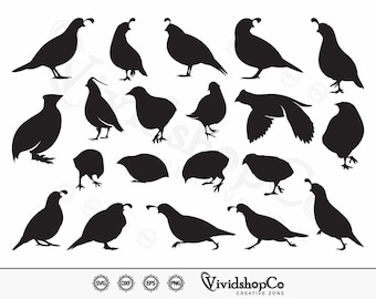 Quail SVG, Quail Bird Svg, Clipart, Cut Files for Silhouette, Files for ...