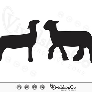 Show Lamb SVG, Market Lamb Svg, Sheep Svg, Show Sheep Svg, Clipart, Cut ...