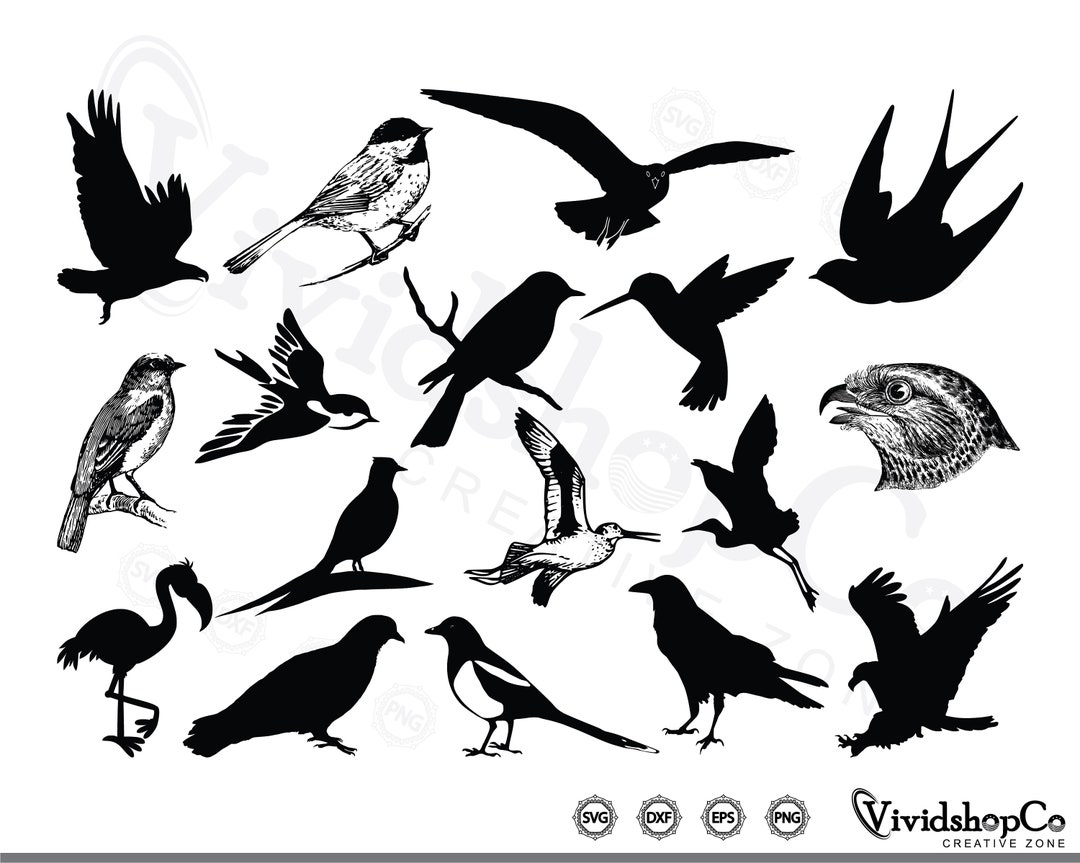 Bird Svg, Bird Clipart, Bird Cut Files for Silhouette, Files for Cricut ...