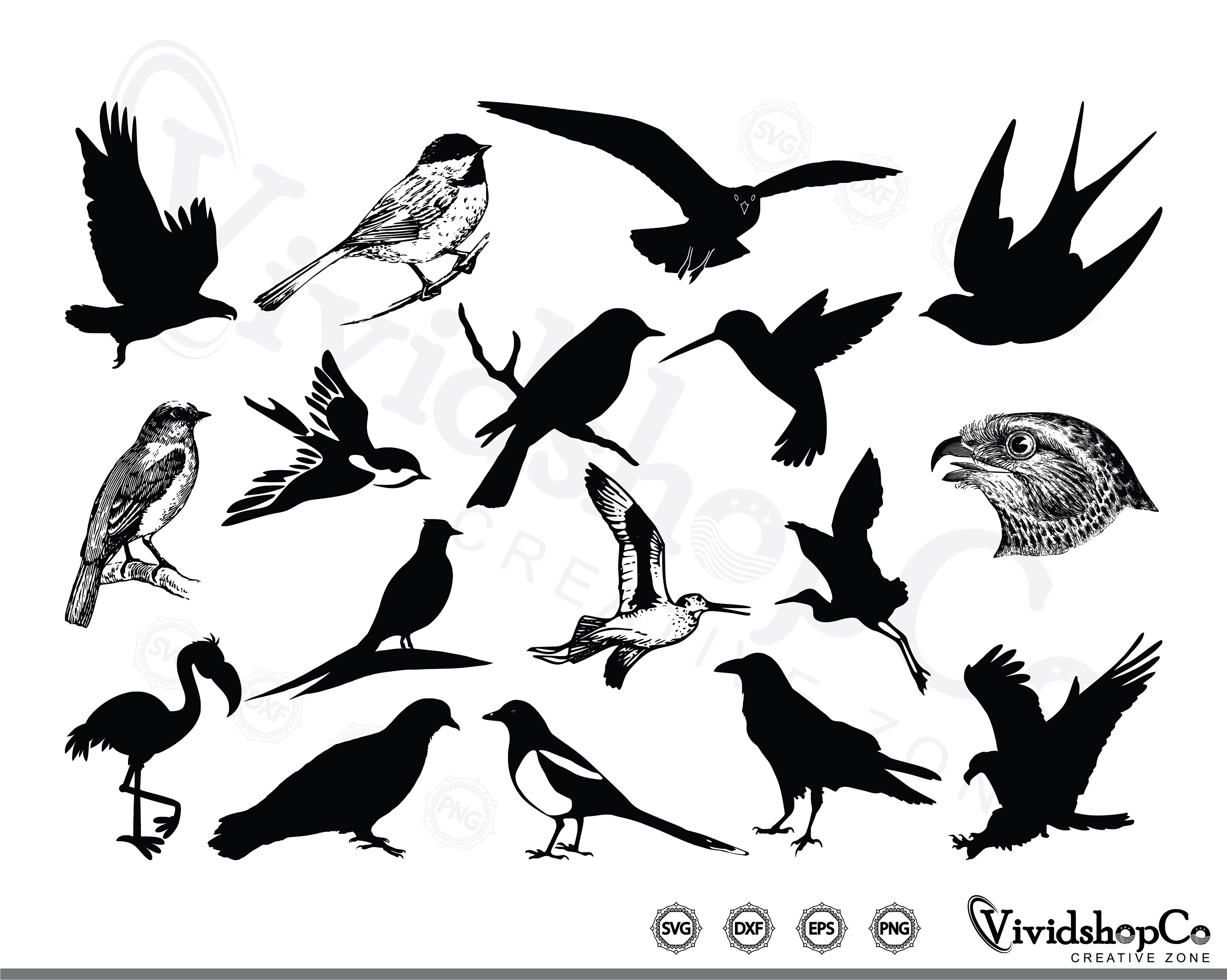 Bird Svg Bird Clipart Bird Cut Files for Silhouette Files | Etsy