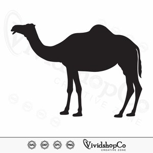 Camel SVG, Animal Svg, Clipart, Cut Files for Silhouette, Files for ...