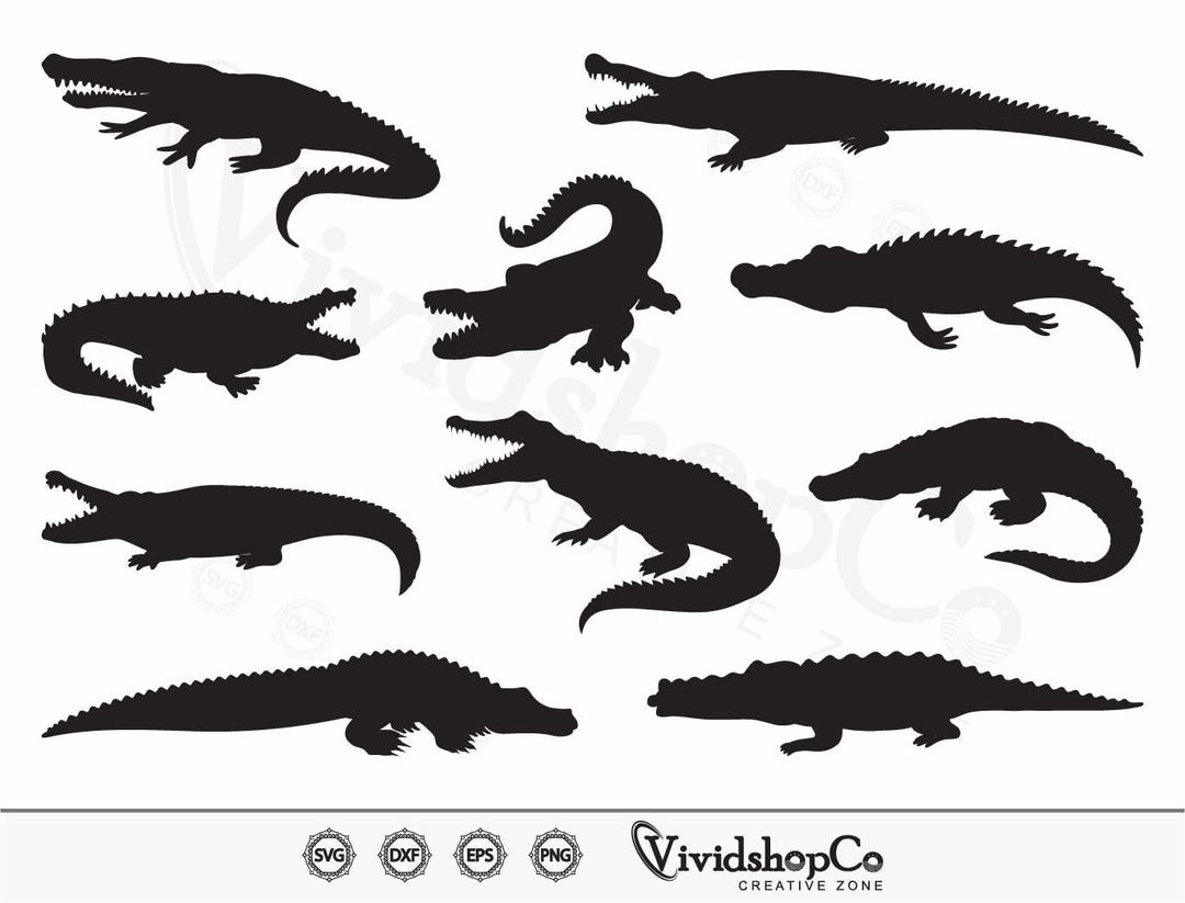 Crocodile SVG, Caiman Svg, Cayman Animal, Animal Svg, Alligator Svg ...