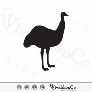 Emu SVG, Vogel svg, Tier svg, Clipart, Schnittdateien für Silhouette ...