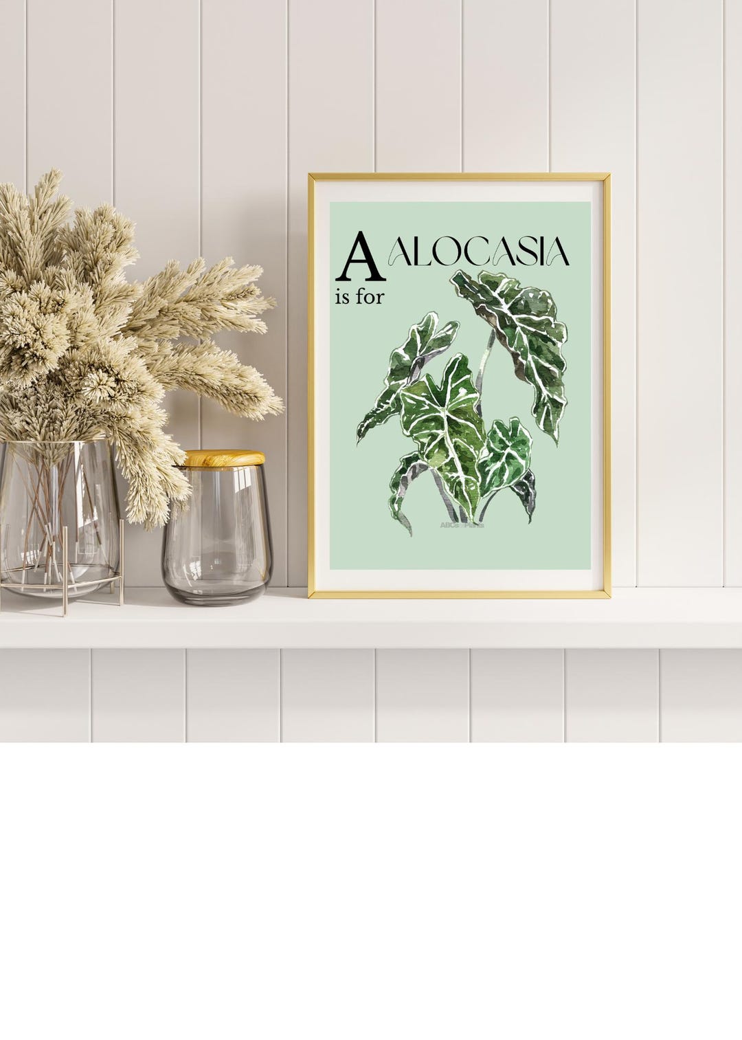 Alocasia Plant Poster: Abcs of Plants Series (digital Download Pngs) - Etsy