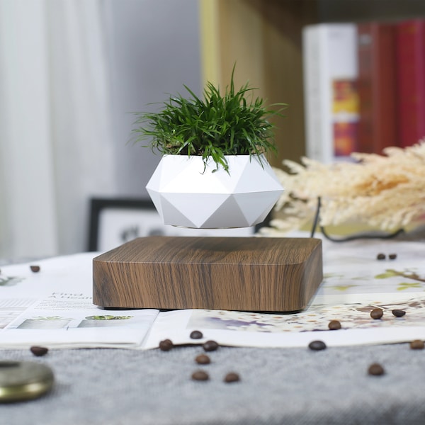 Levitating Display With Magnet - Etsy