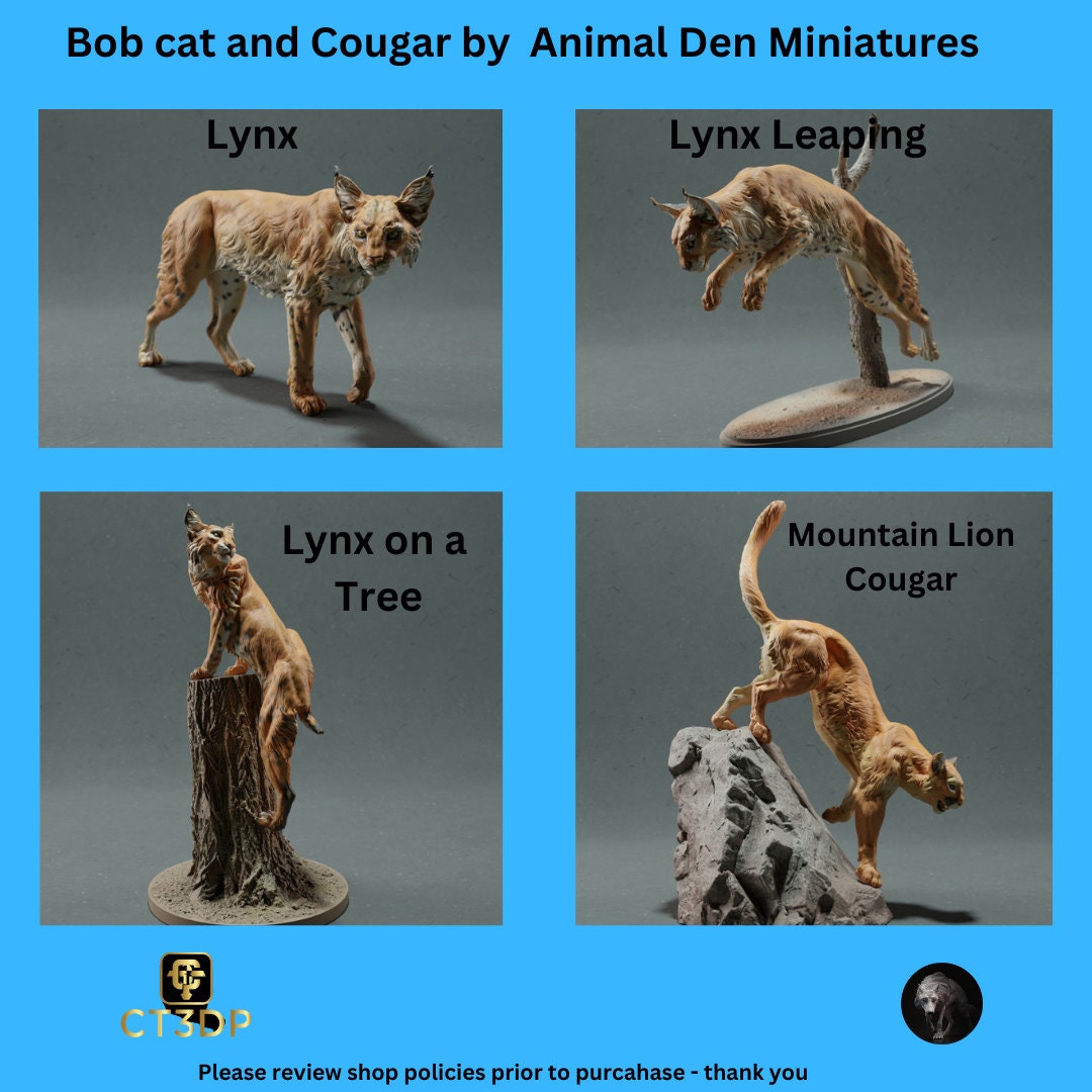 Cougars Cats Leaping