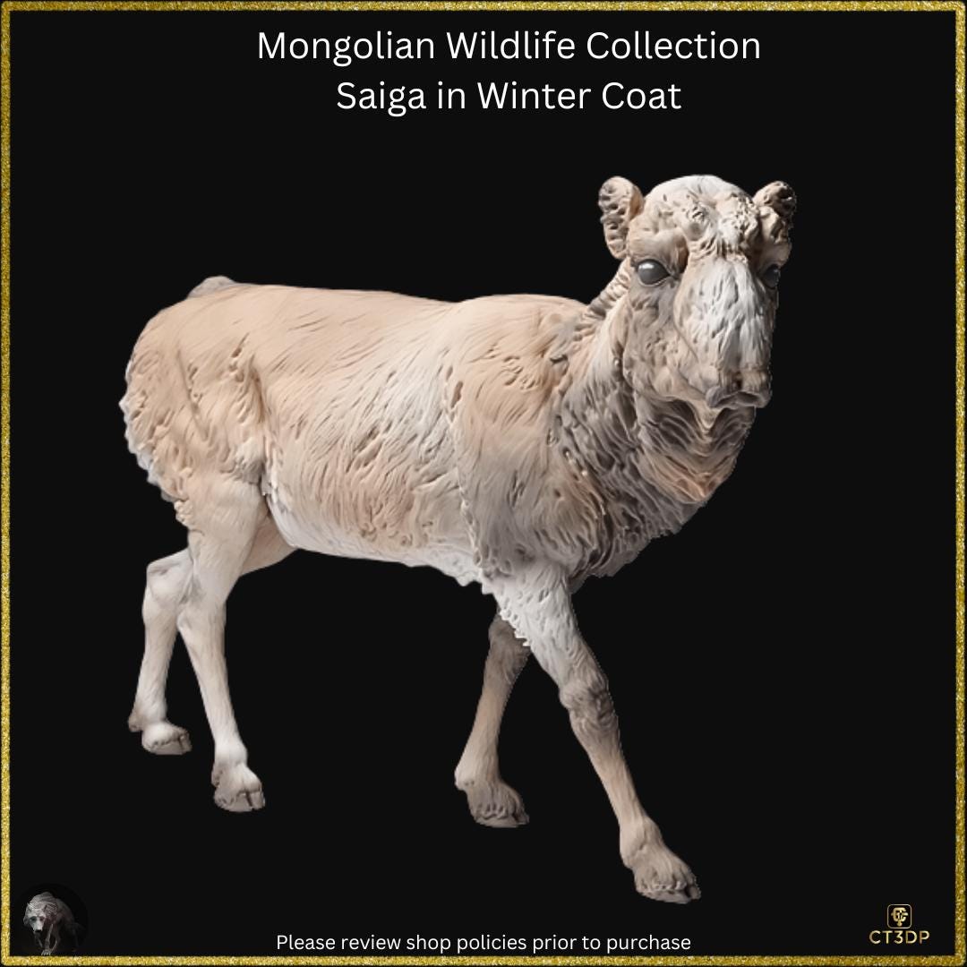Mongolian Wildlife Collection- Saiga Female in Her Winter Coat - Etsy