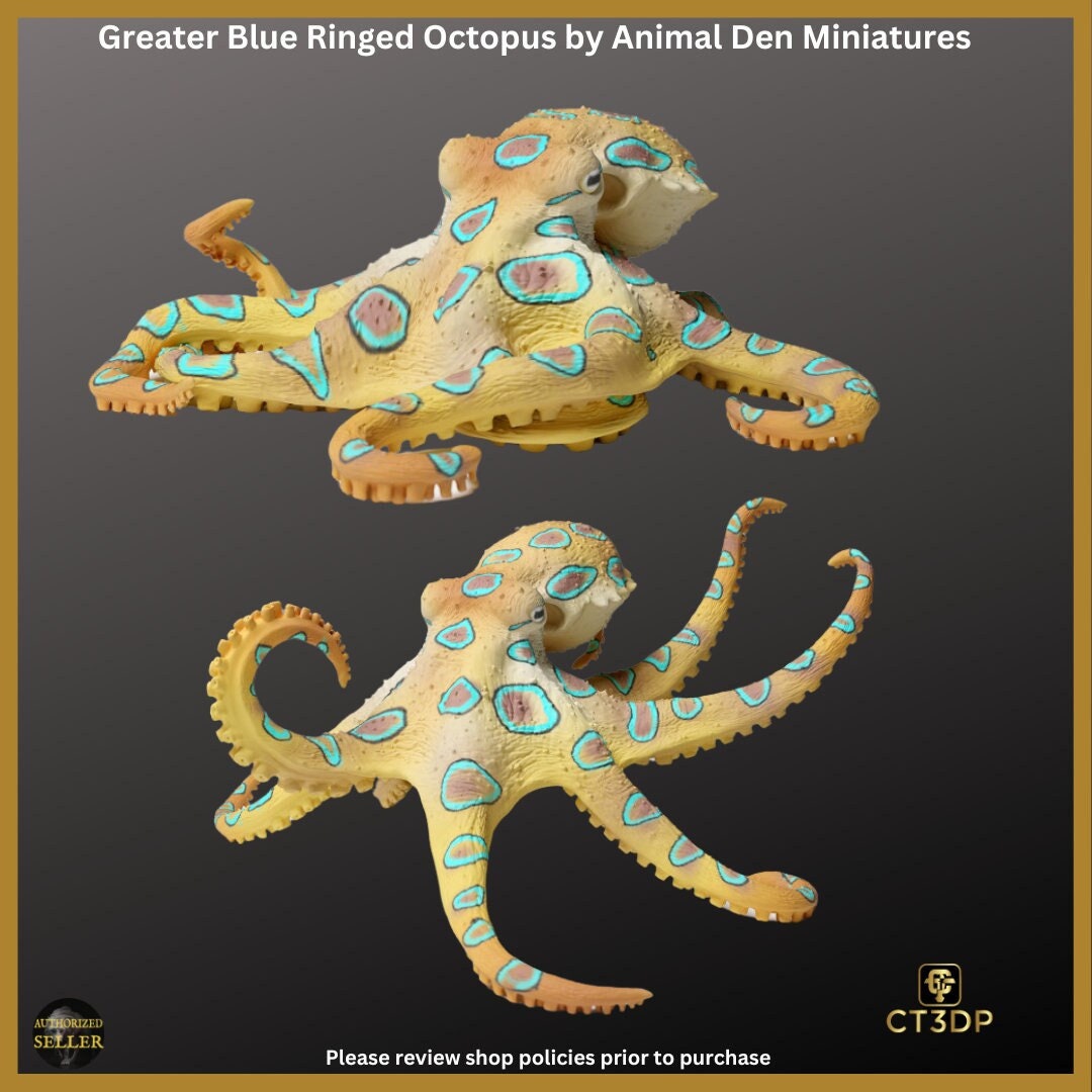 Great Barrier Reef Collection From Animal Den- Here is the Greater Blue ...