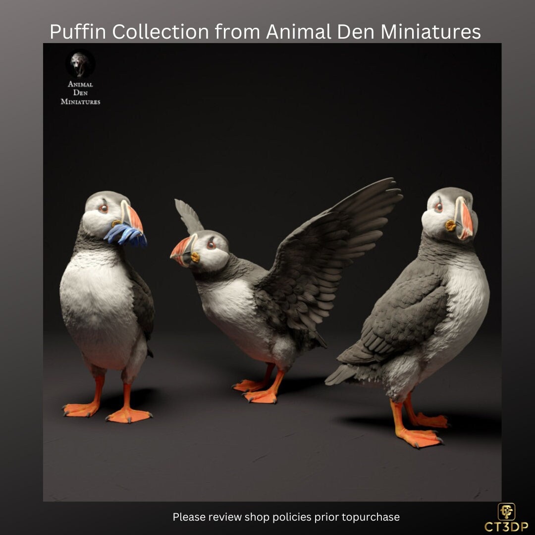 Puffin Miniature Collection:1/8th Scale Model Collection 3D Printed in ...