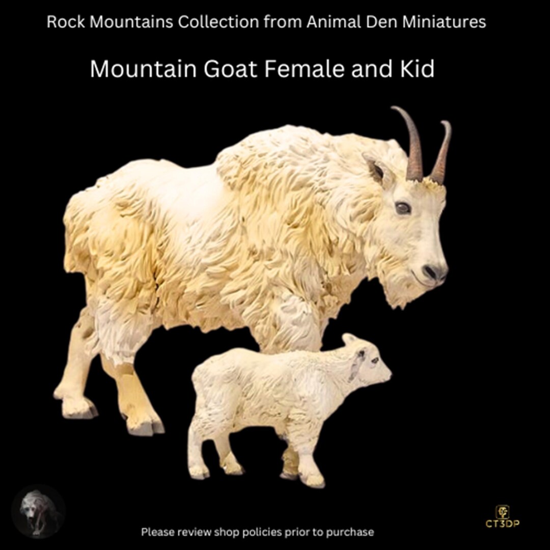 Female Mountain Goat With a Kid From the Rock Mountains Collection by ...