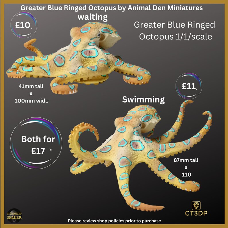 Blue Ringed Octopus Miniature – Barrier Reef Animal Den - Etsy
