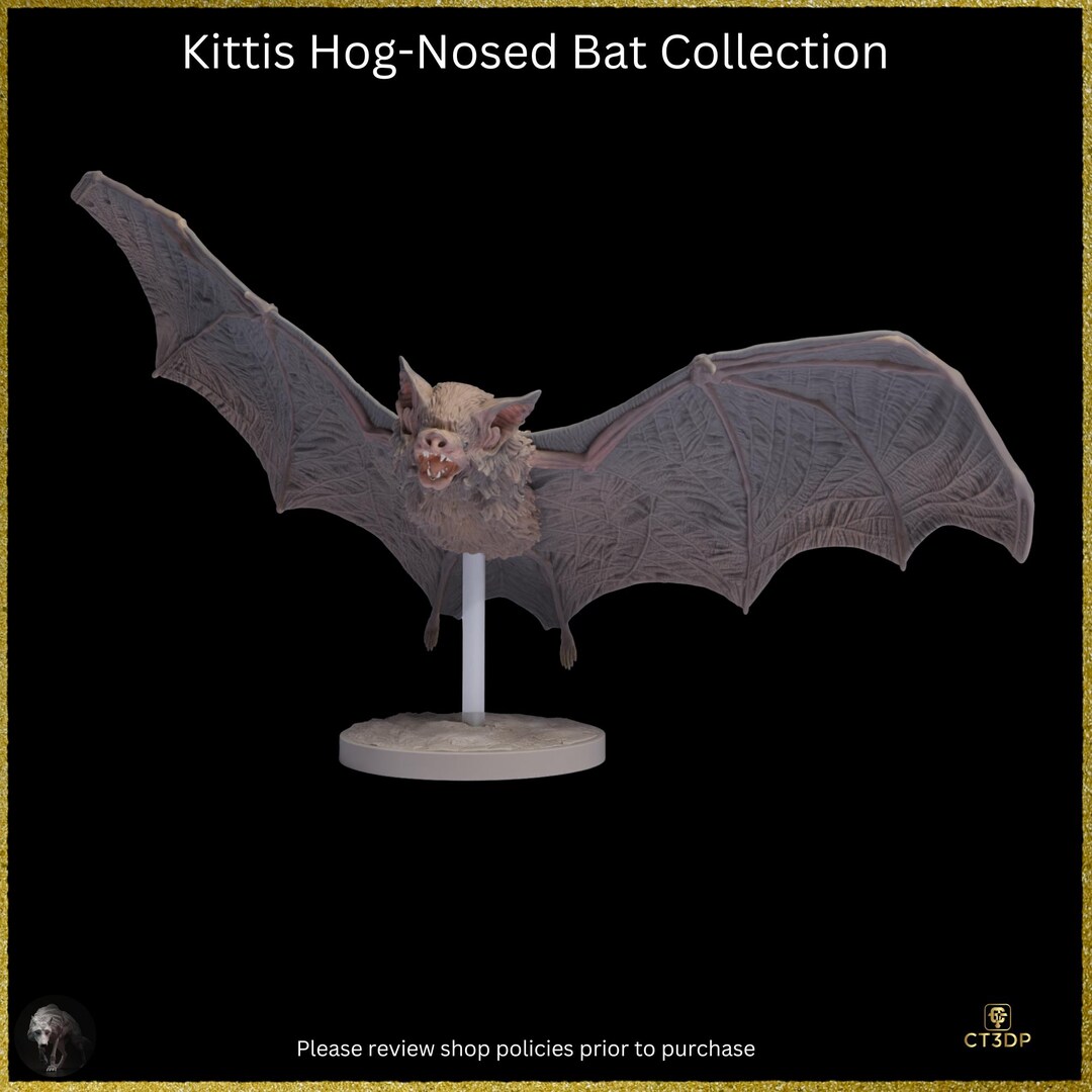 The 3D Resin-printed Life-sized Kittis Hog-nosed Bat Collection is Now ...