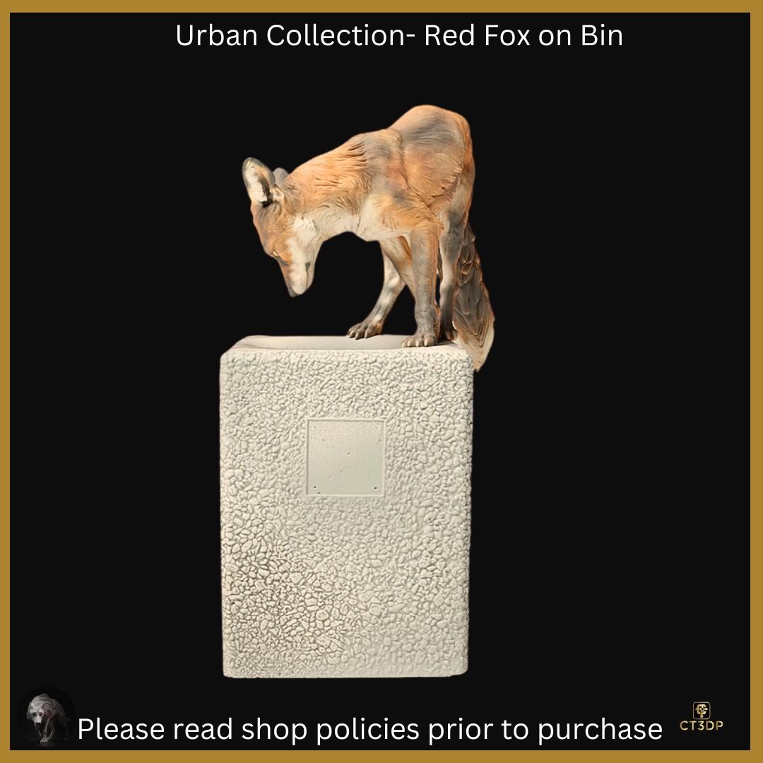 The Urban Red Fox on a Bin- a Regular Sight for Some Urban and City ...