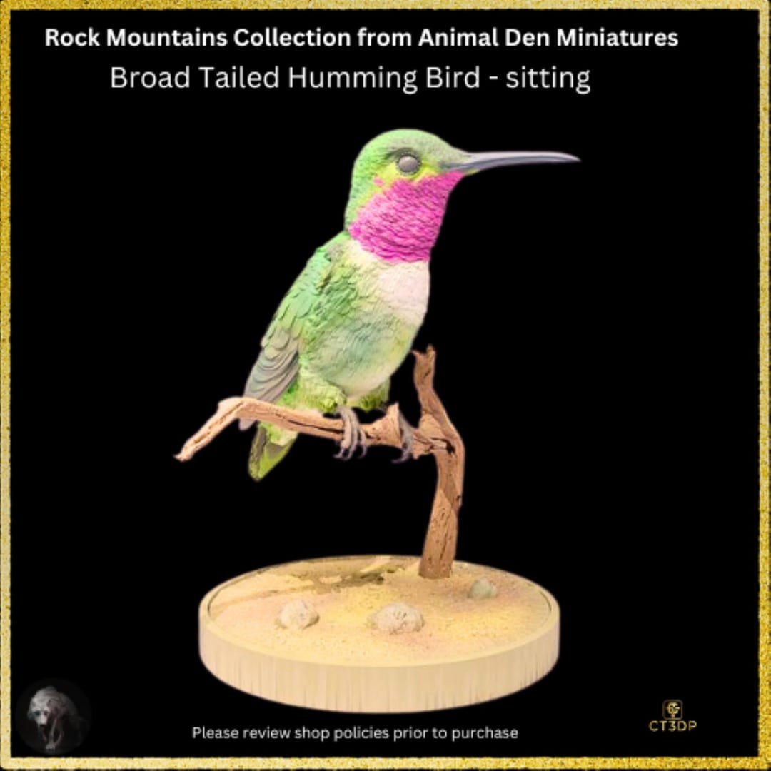 3D Printed Broad-tailed Hummingbird Miniature - Animal Den Minis - Etsy