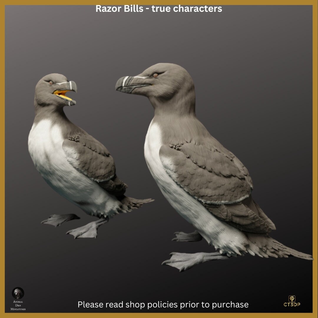 Razor Bills - Birds of Real Character - 1/8th Scale - Etsy