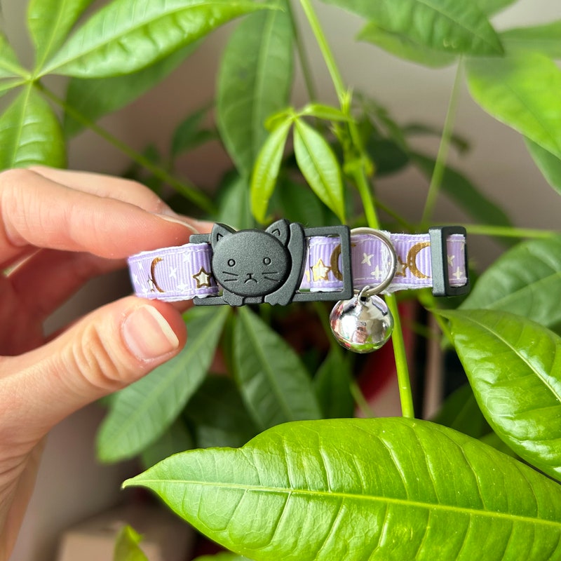 Cute Cat Collars - Etsy