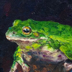 Frog Painting Pond Frog Original Art 8" X 10" Toad Small Oil Painting ...