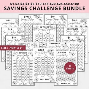 Savings Challenge Bundle A6,money Savings Tracker Binder,mini Saving ...