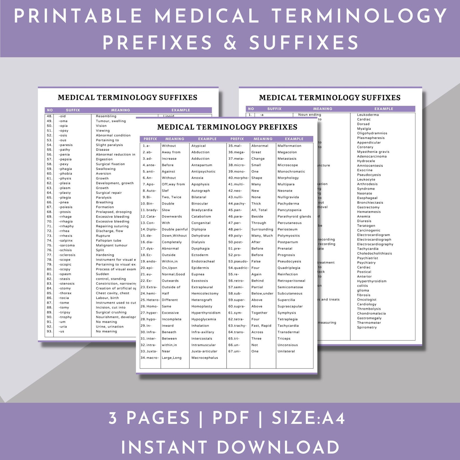 Medical Terminology Flashcardsmedical Terminology Prefixes - Etsy