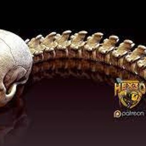 Predator Trophy Skull & Spine - Etsy