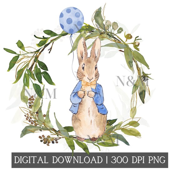Peter Rabbit Clip Art Peter Rabbit 2nd Birthday PNG Peter | Etsy