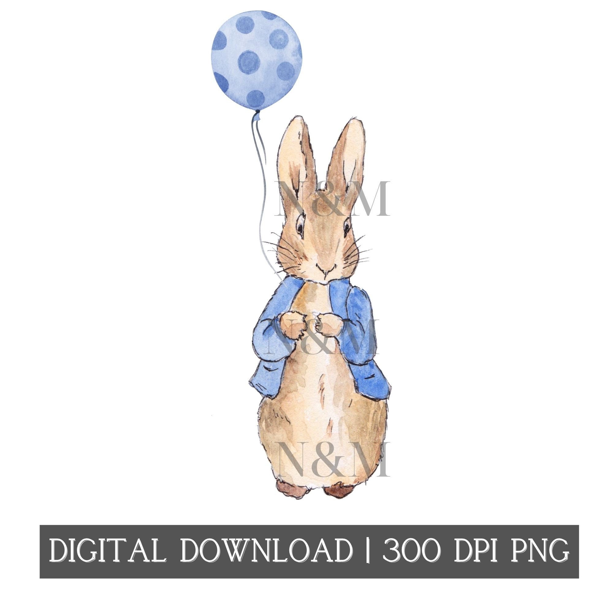 Peter Rabbit PNG Peter Rabbit Balloon Design Clip Art Invite | Etsy