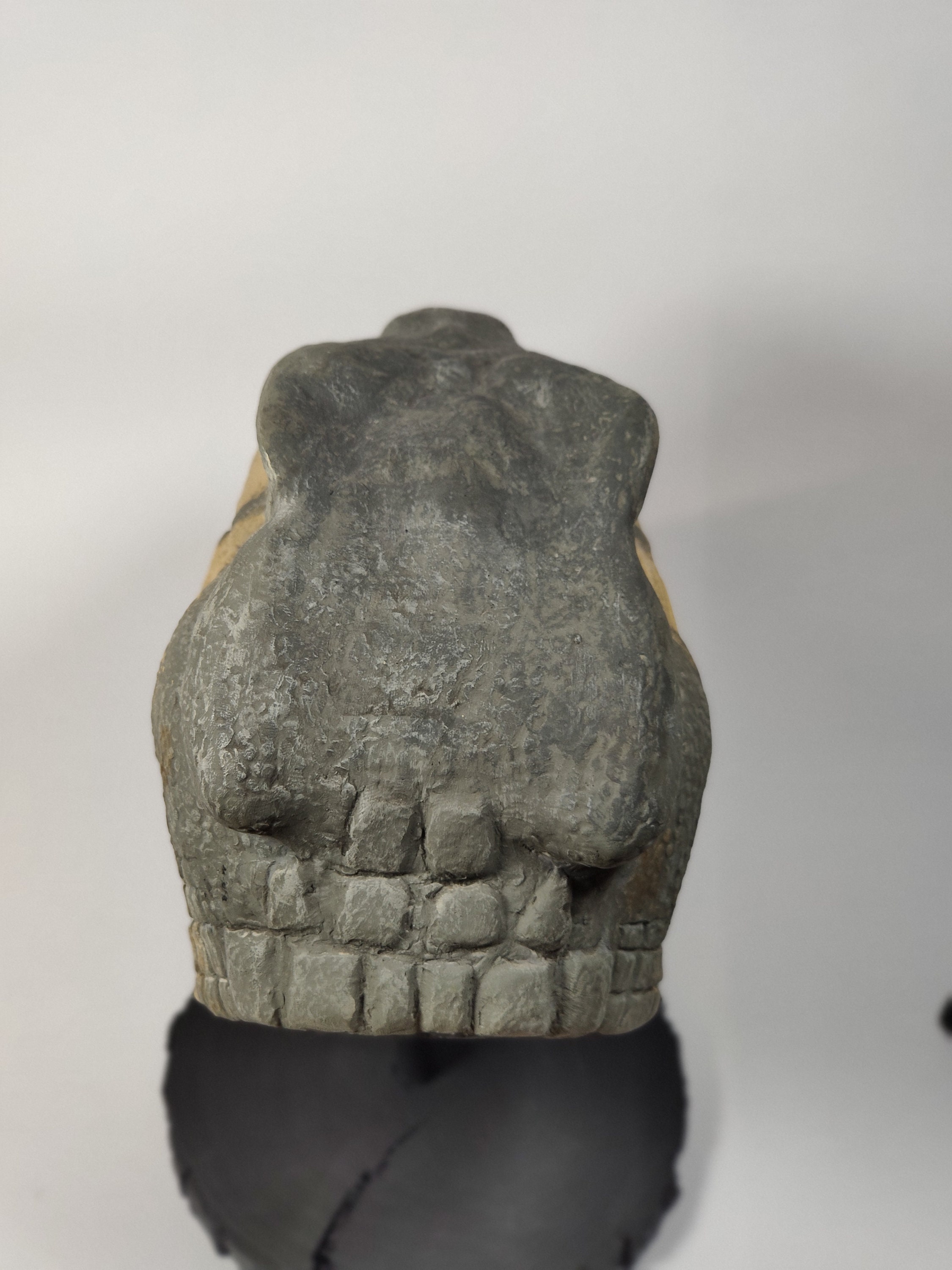 1:1 Simosuchus Bust Model Dinosaur - Etsy