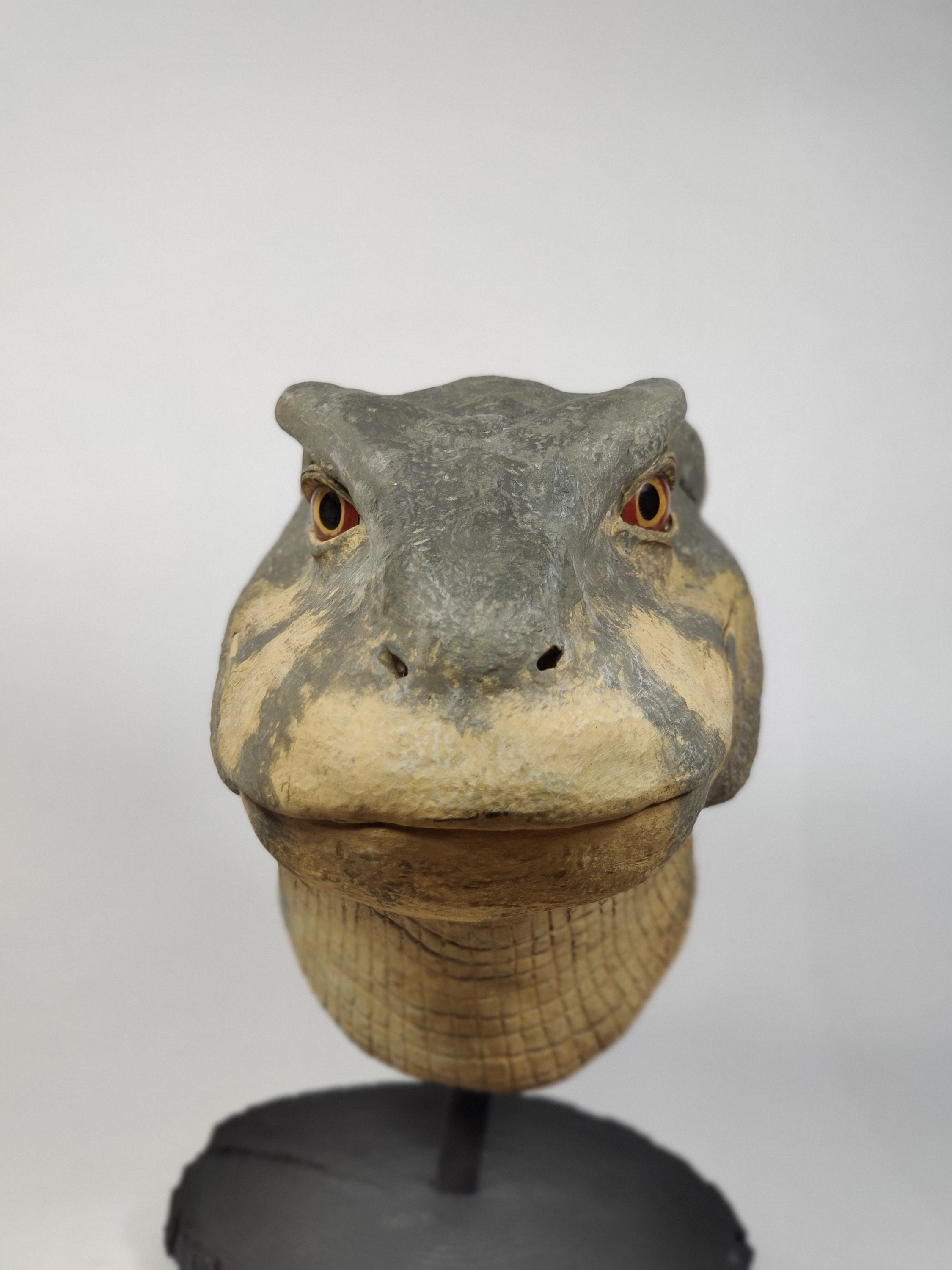 1:1 Simosuchus Bust Model Dinosaur - Etsy