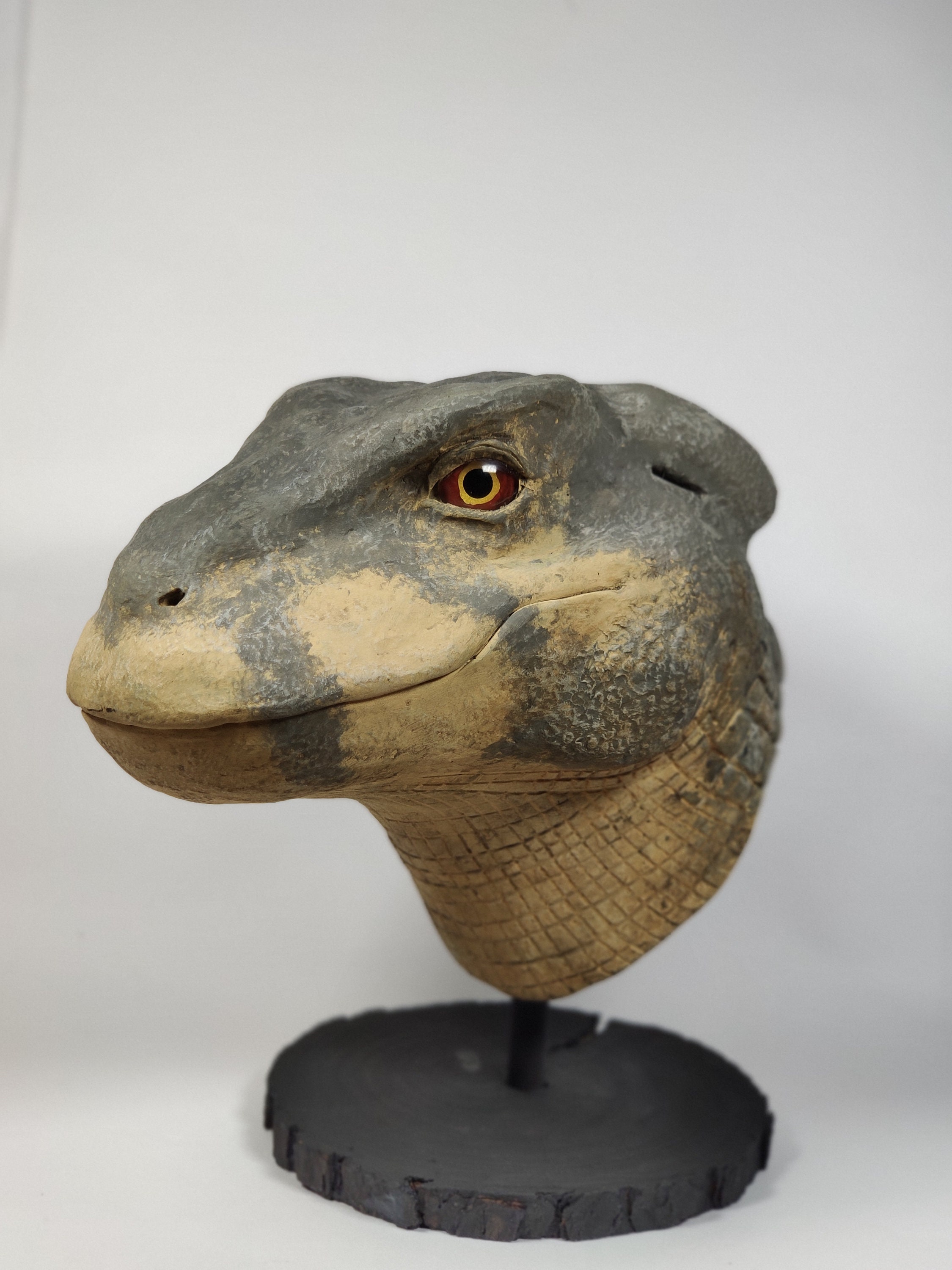 1:1 Simosuchus Bust Model Dinosaur - Etsy