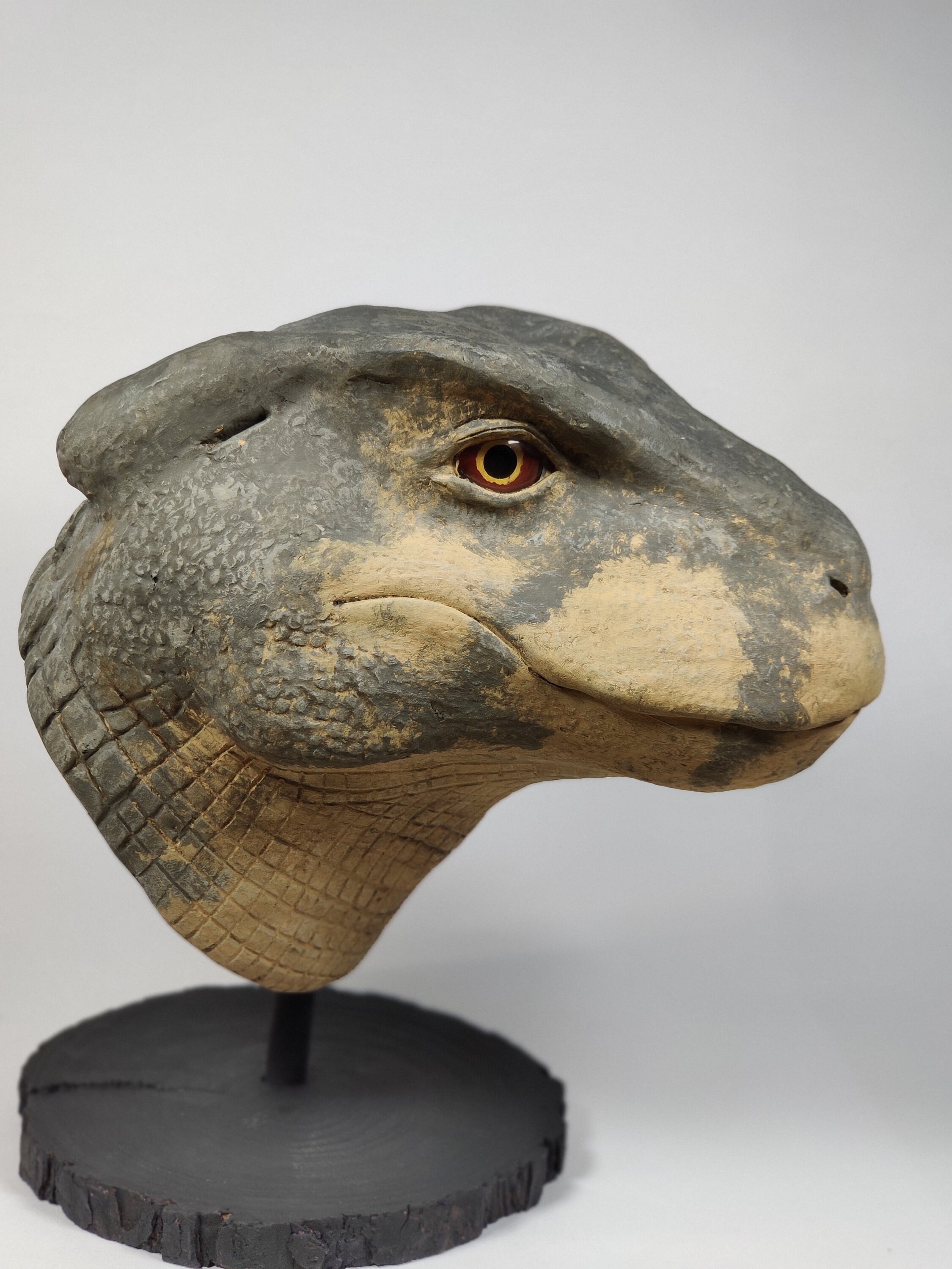 1:1 Simosuchus Bust Model Dinosaur - Etsy